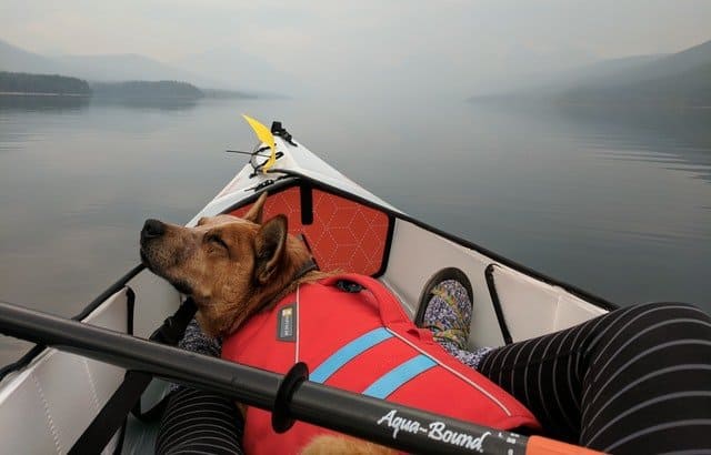 Best Kayaks For Dogs: Dog-Friendly Kayaks For Ultimate Experience