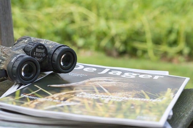 Best Binoculars for Hunting in 2021 - Expert Reviews and Buyer’s Guide