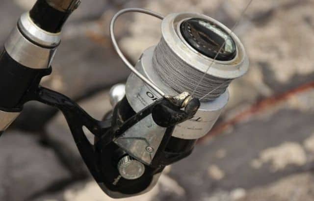 Best Fishing Line for Spinning Reels - Ultimate Guide on 2020