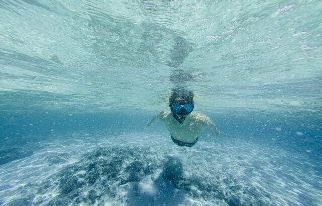 Can you Breathe Underwater with a Snorkel Mask? Facts Diver Must know