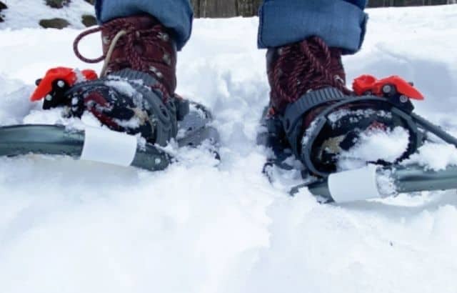 How to Choose Snowshoes- Beginner’s Guide For Winter Adventure