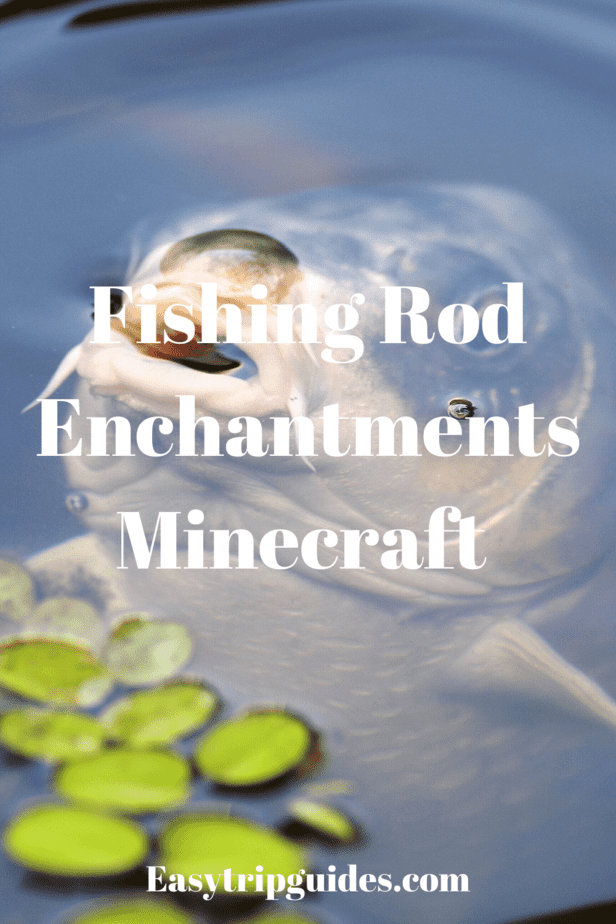 Fishing Rod Enchantments Minecraft | Comparison Table With Details