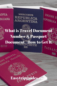 What is Travel Document Number & Passport Document | How to Get It