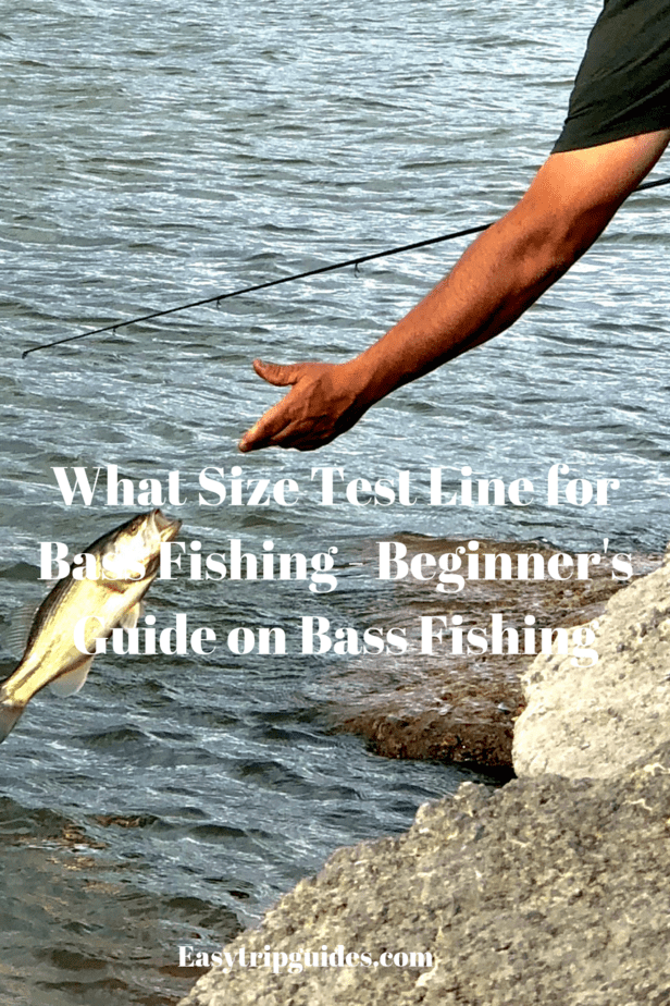 What Size Test Line for Bass Fishing - Beginner's Guide on Fishing