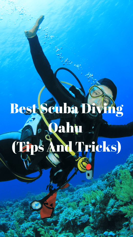 Best Scuba Diving Oahu (Tips And Tricks)